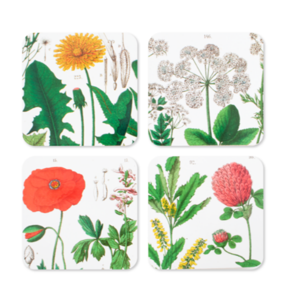 Museum Store, Hortus Botanicus Botanical Garden Coasters, Set of 4 – Au ...