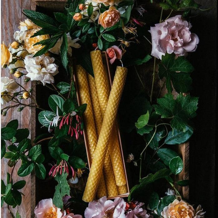 Apis Cera, Box of 9, Lucienne Pure, French Hand-Rolled Beeswax Candles ...
